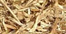 Chopped Straw Miscanthus Bedding