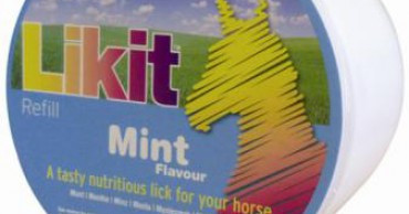 Likit Refill Mint 650g
