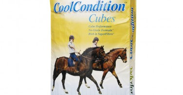 TopSpec Cool Condition Cubes 20 kg