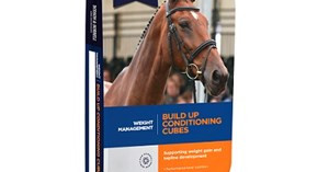 Dodson and Horrell Build Up Cubes 20kg