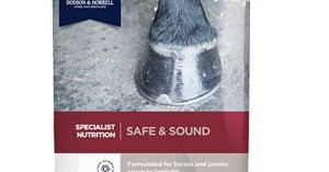Dodson and Horrell Safe and Sound 18kg
